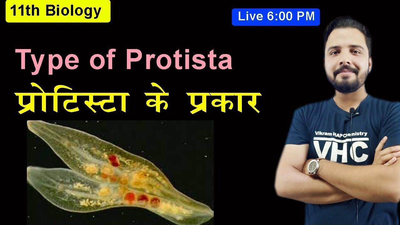 Class 11th Chap 02 Part 05 Type of protista प्रोटिस्टा के प्रकार VHC ...