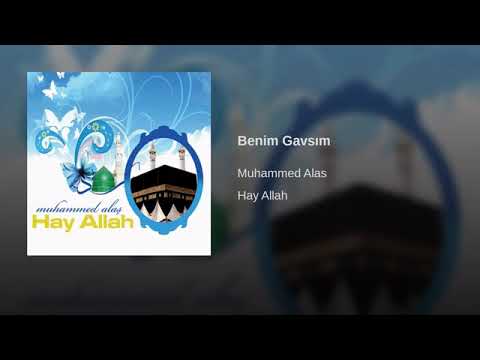 Benim Gavsım