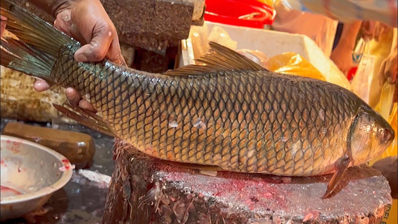 Amazing Big Rui Fish Cutting By Expert Fish Cutter | Fish Cutting ...