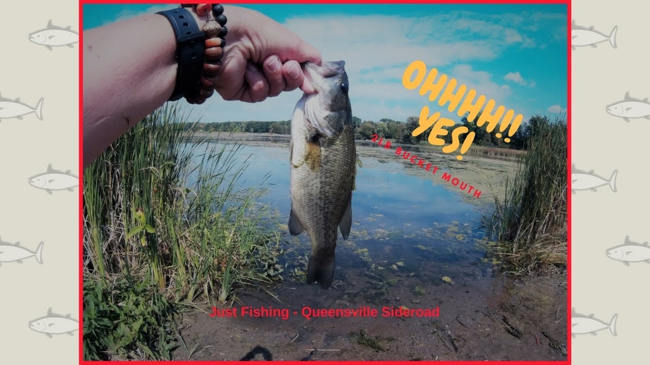 Just Fishing - Queensville East Holland River. - 2 lbs. Large Mouth ...