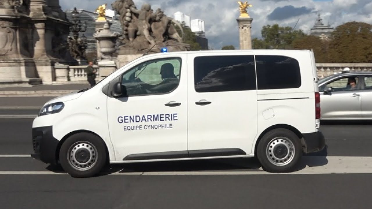 [RARE] 2x Gendarmerie Equipe Cynophile en urgence à Paris // 2x French ...