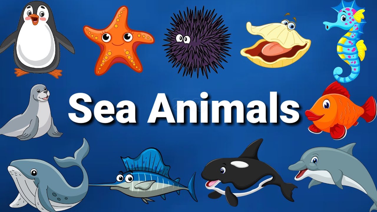 Sea animals pronunciation for Kindergarten | Sea Animals in English ...