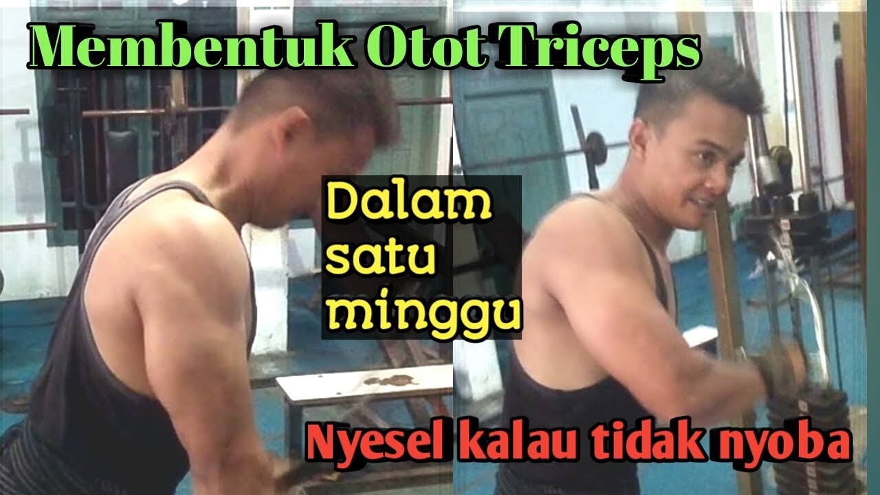 MEMBENTUK OTOT TRICEPS DALAM SATU MINGGU. - YouTube