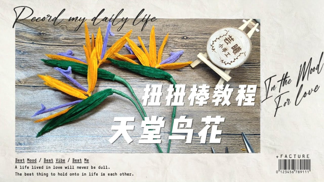 扭扭棒天堂鸟教程（How to make Beautiful Bird of Paradise Flower With pipe ...