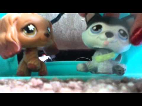 Lps:life of a teenage werewolf episode1 - YouTube