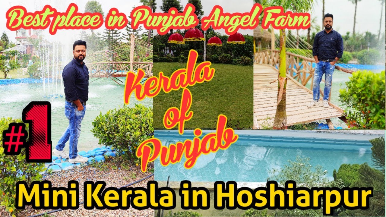 Angel Farm || Best luxury Resort in Hoshiarpur Punjab || Angel Farm ...