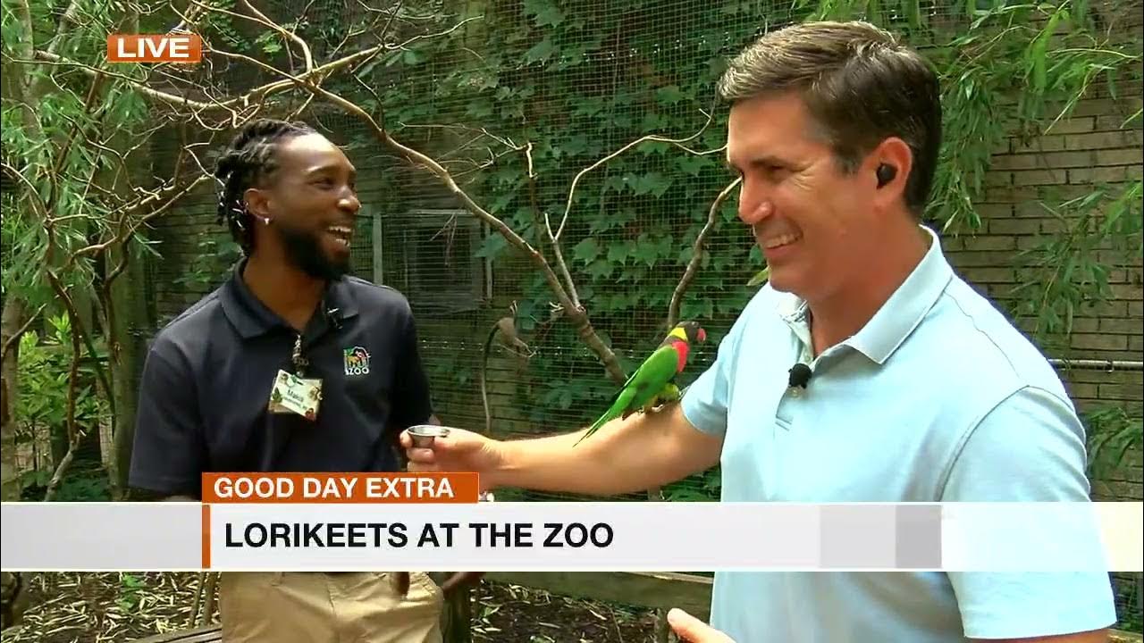WBRC Fox 6 First Fridays, Lorikeets and Education events! - YouTube