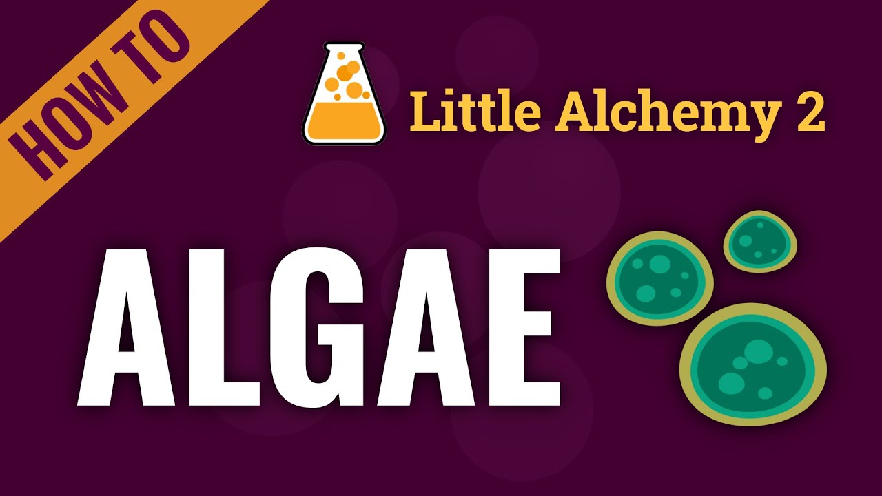 How To Make ALGAE In Little Alchemy 2 YouTube how-to-make-algae-in-little-alchemy-2-youtube