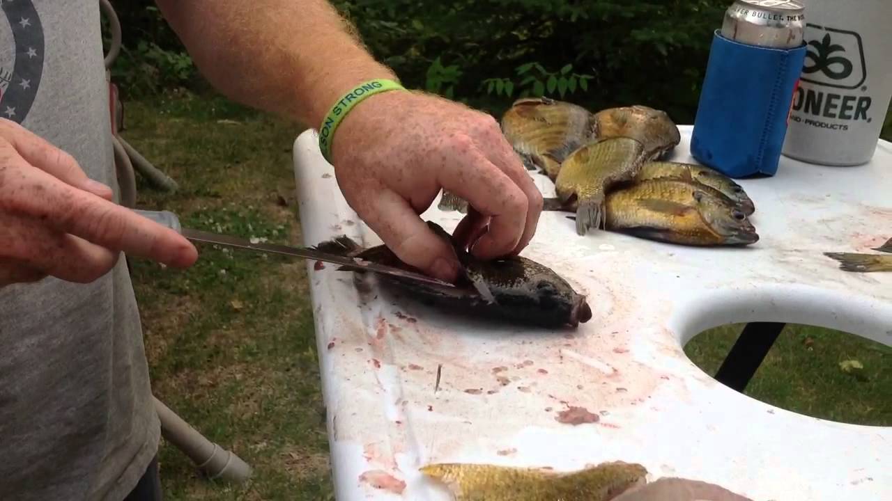 How to on Filleting, cleaning a sunfish panfish boneless fast - YouTube