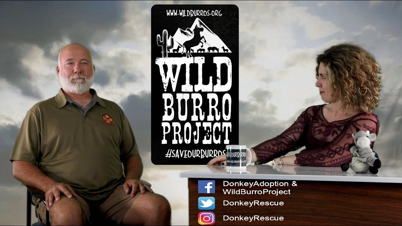 2018 DRTV E6: Wild Burro Project - YouTube