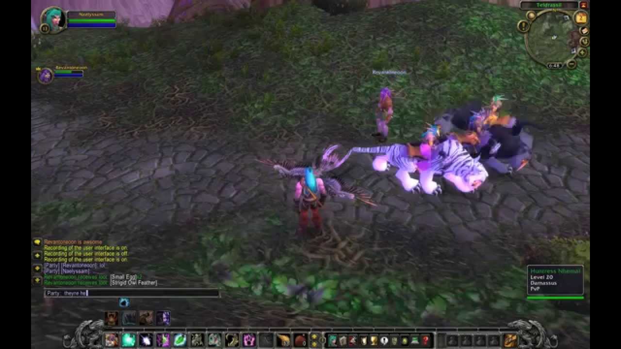 World of Warcraft Night Elf Guard Glitch - YouTube
