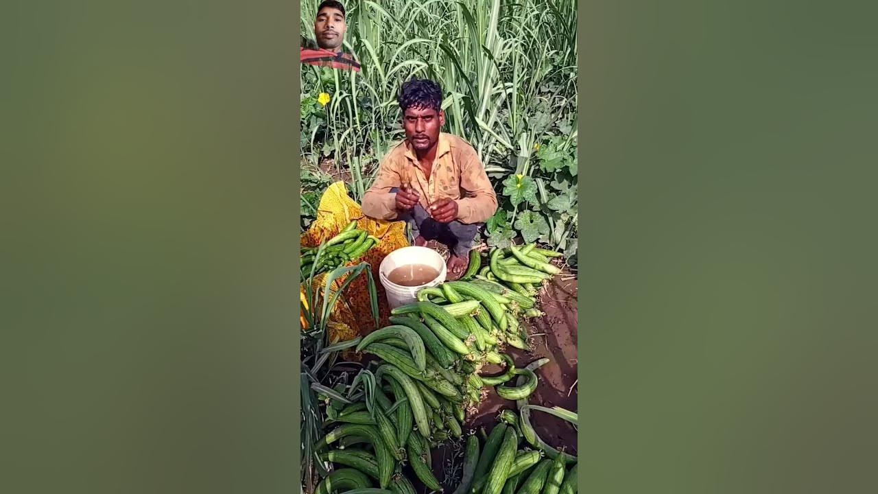 #comedy #kishan #funny #123kishan #farming #agriculture #farmer #voiceeffects #kisan #duet - YouTube