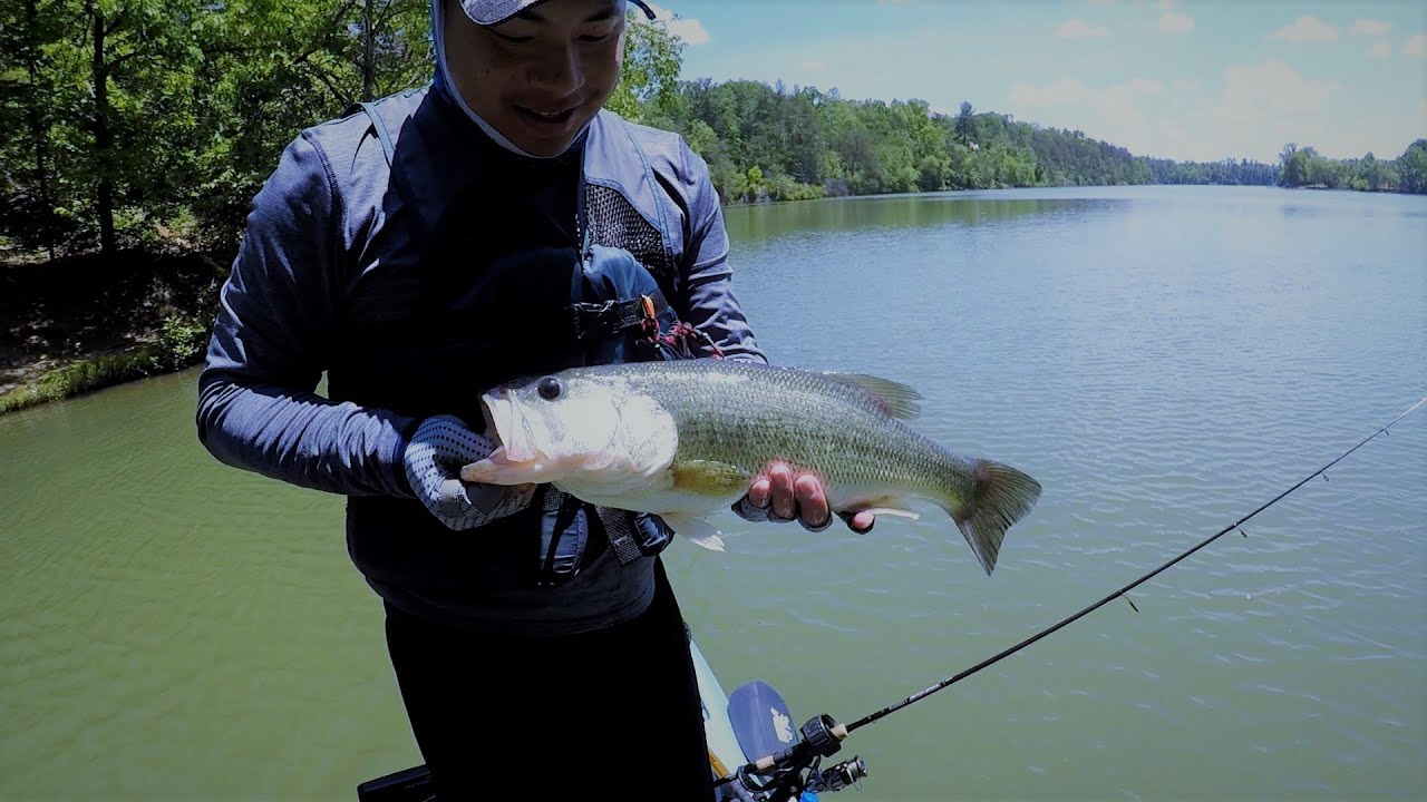 SASSY STICK!!! - YouTube