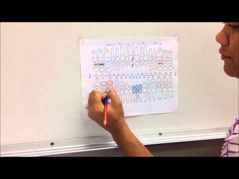 How To Chart Gold Crown Dental Charting