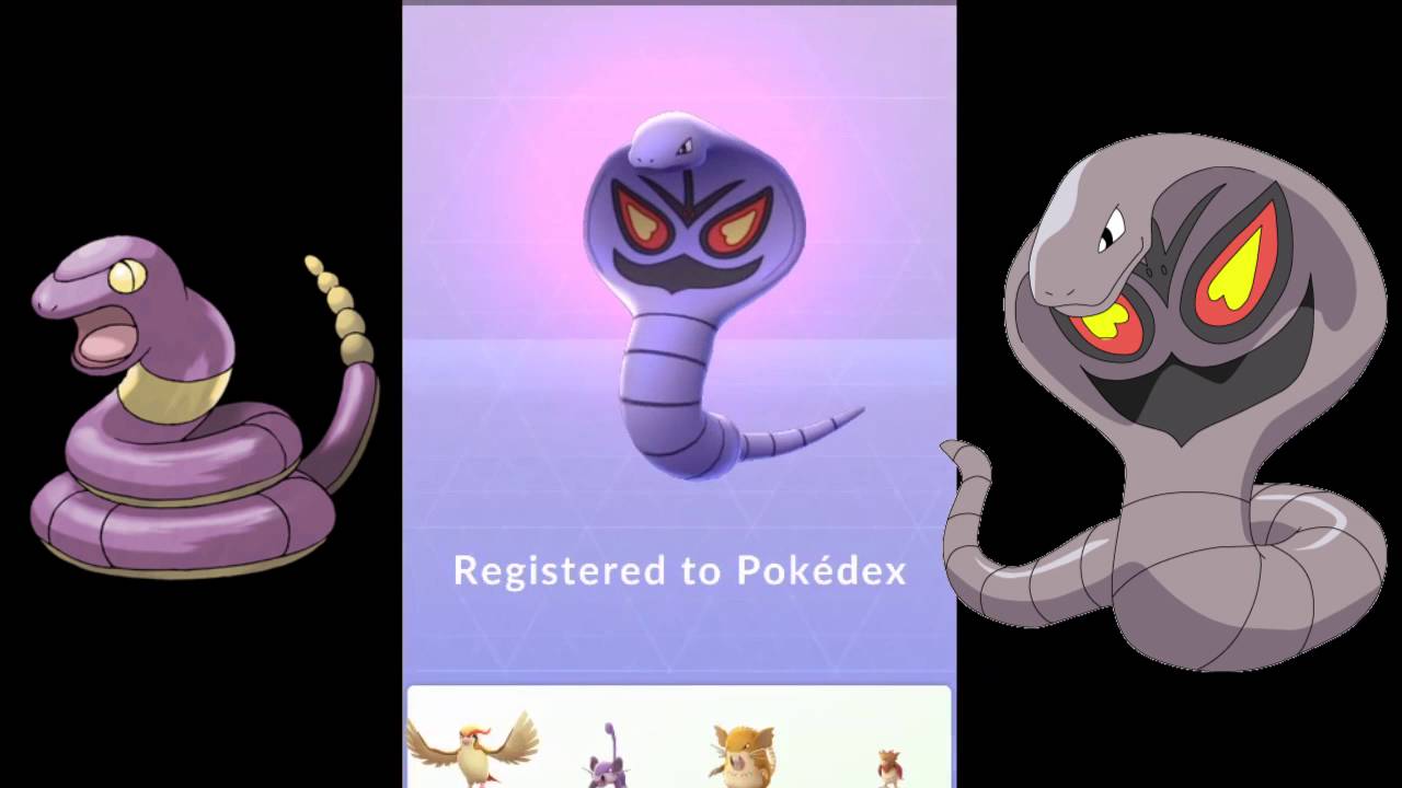 Ekans evolve to Arbog! POKEMON GO - YouTube
