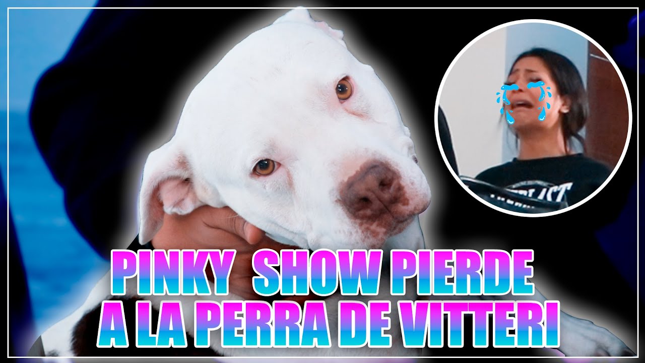 PINKY SHOW PIERDE A KALANIE 😱😫 | Vitteri Ponce - YouTube