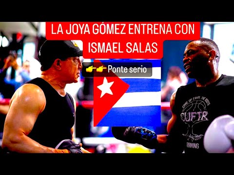 ¿LLEGARÁ A SER YOELVIS “LA JOYA” GÓMEZ UN GRANDE? ESTO OPINAMOS DEL ...