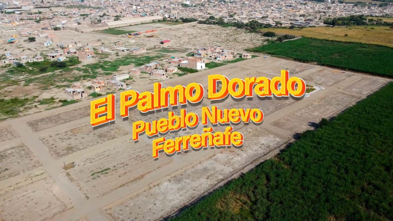 Conoce nuestro proyecto Palmo Dorado - YouTube