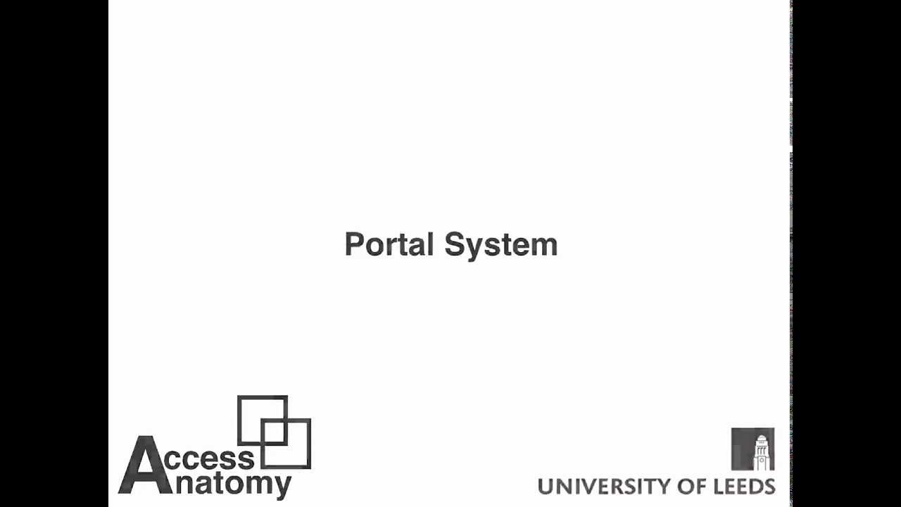 Portal system - YouTube