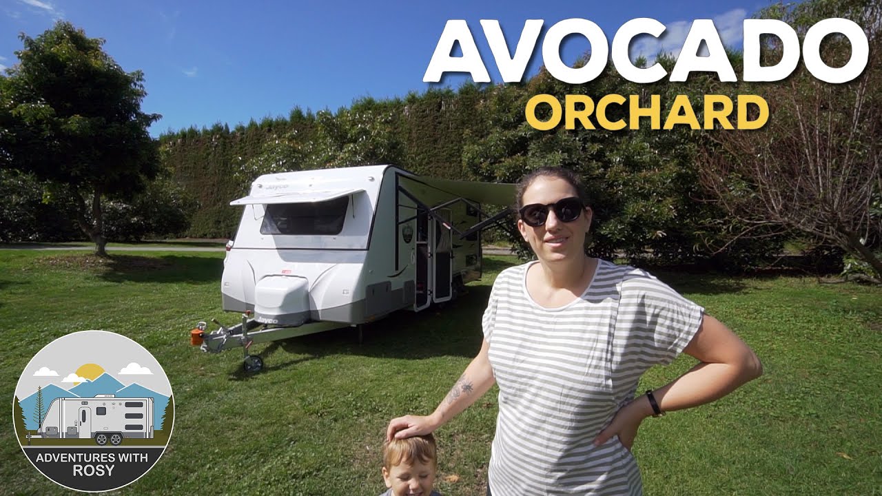 Camping in an Avocado Orchard | Our longest trip begins! - YouTube