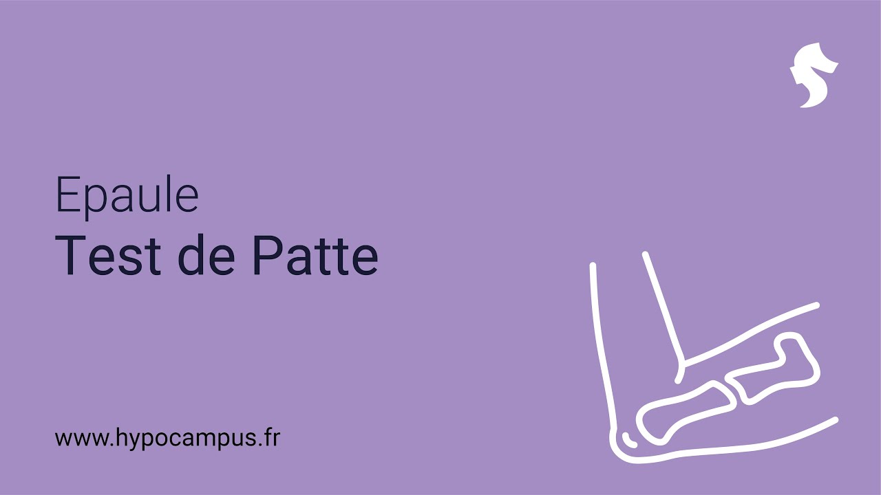 Epaule - Test de Patte - YouTube
