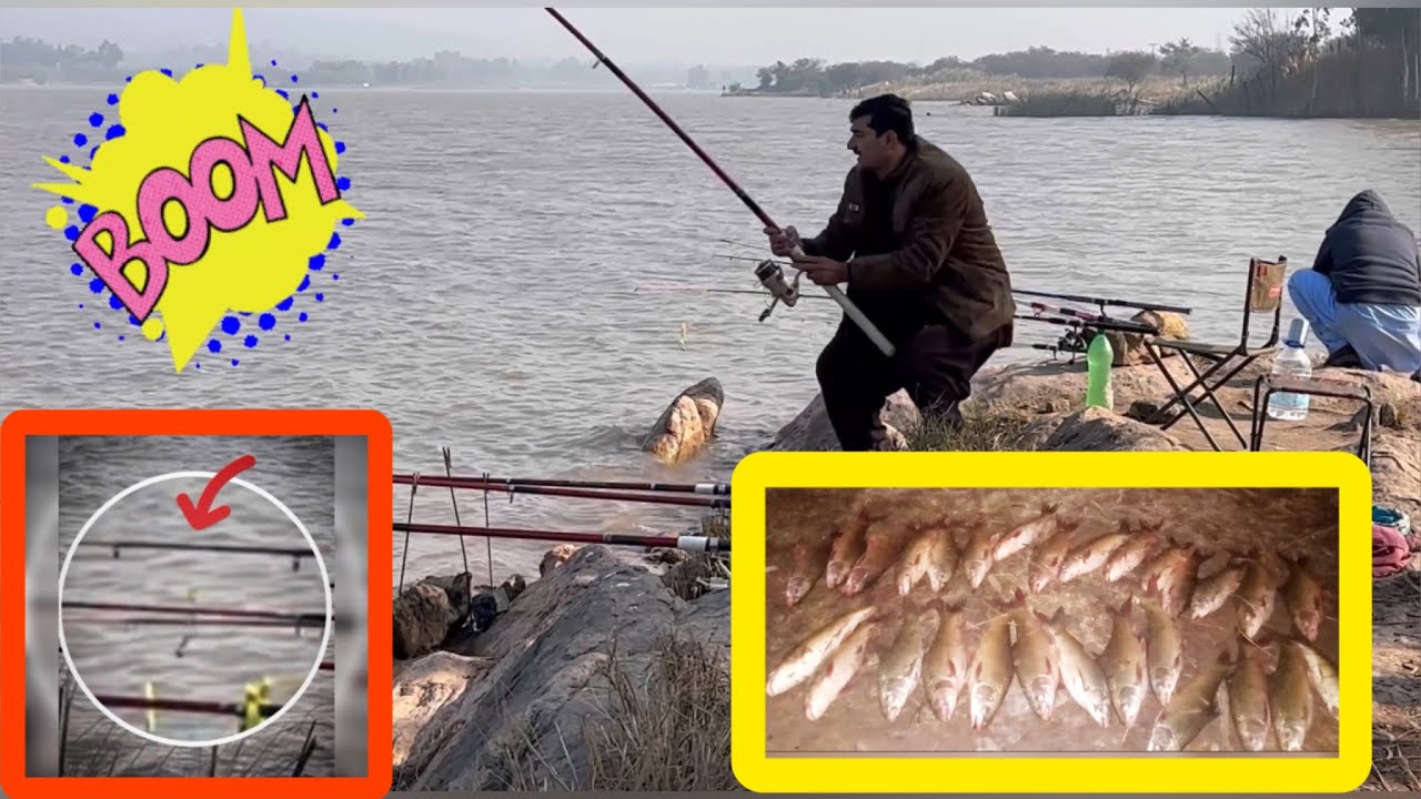 Live Carp Fish Catch | Carp bite | Live Chaal | Fishing in Pakistan ...