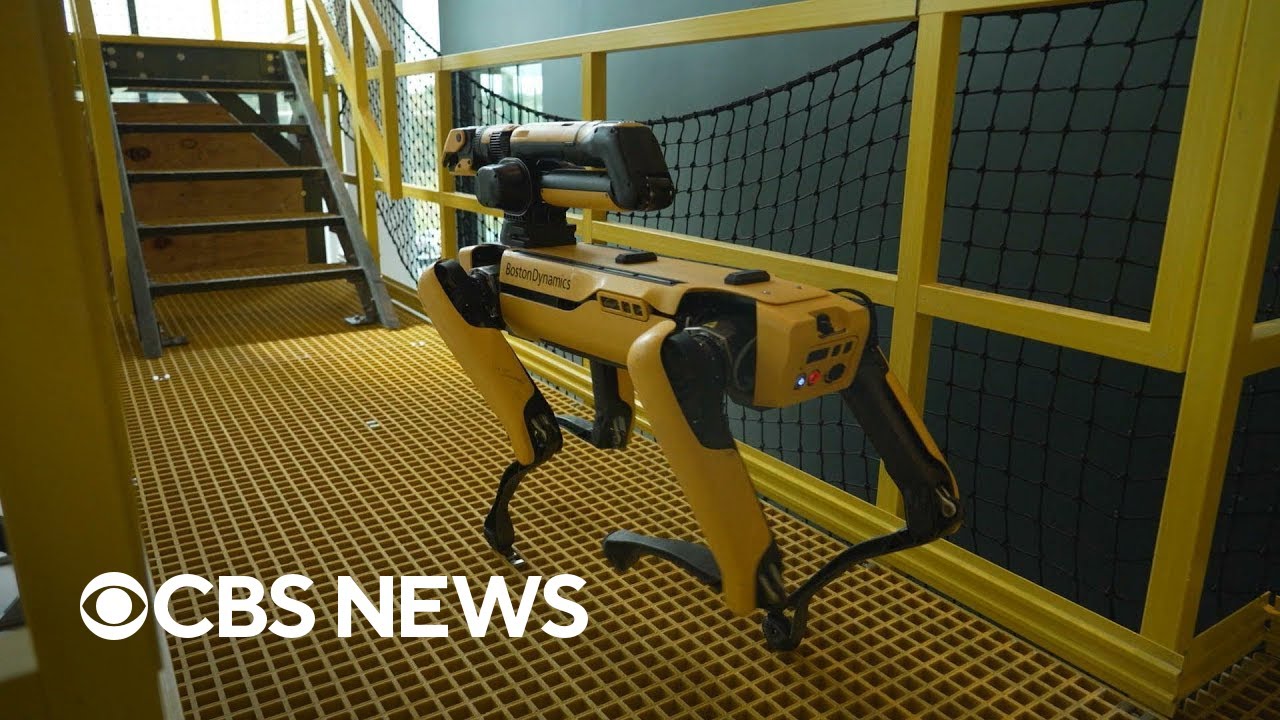 Boston Dynamics robot demo - YouTube