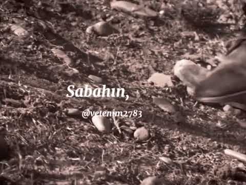 Ey veten oğlu bilki senindir bu veten.