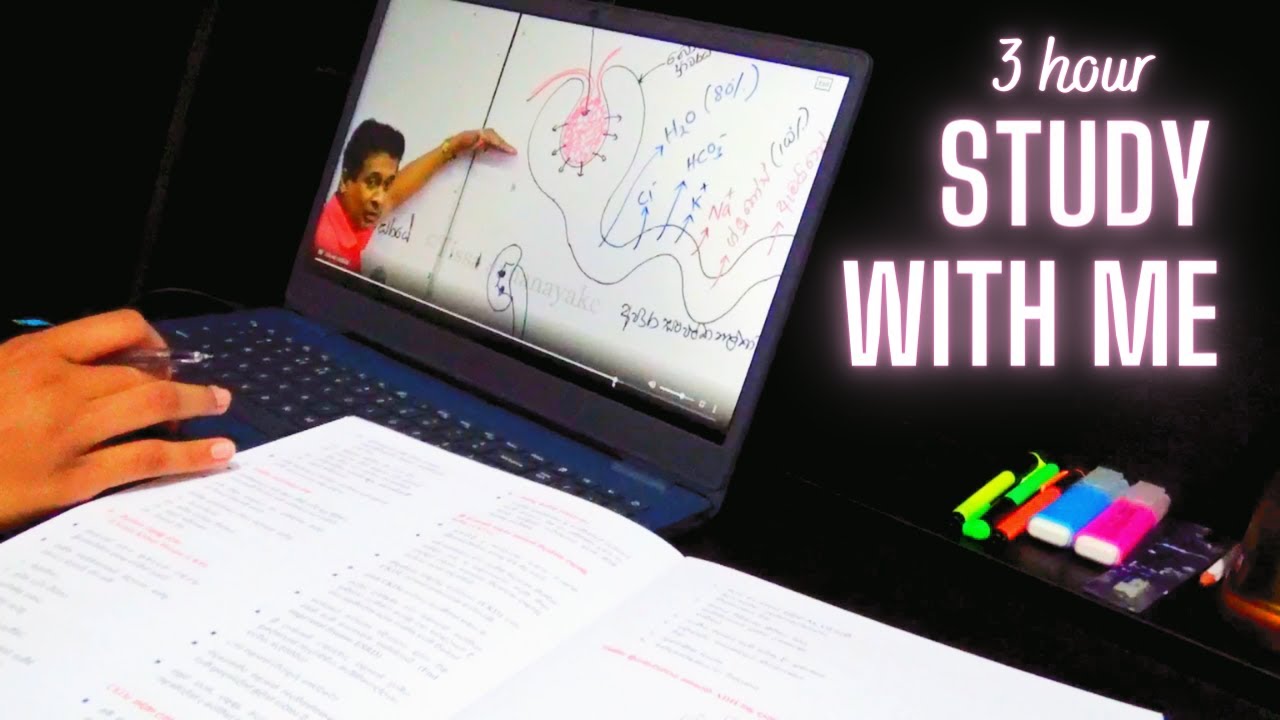 3 HOUR STUDY WITH MEㅣ lofi music - YouTube