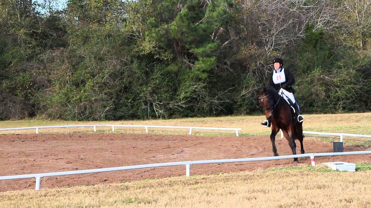 Jayne Lloyd and Amiga KD USEF 2014 Beginner Novice Eventing Dressage ...