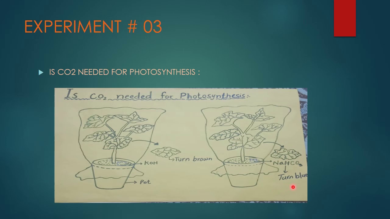 Biology Grade 9 Lecture #2 - YouTube