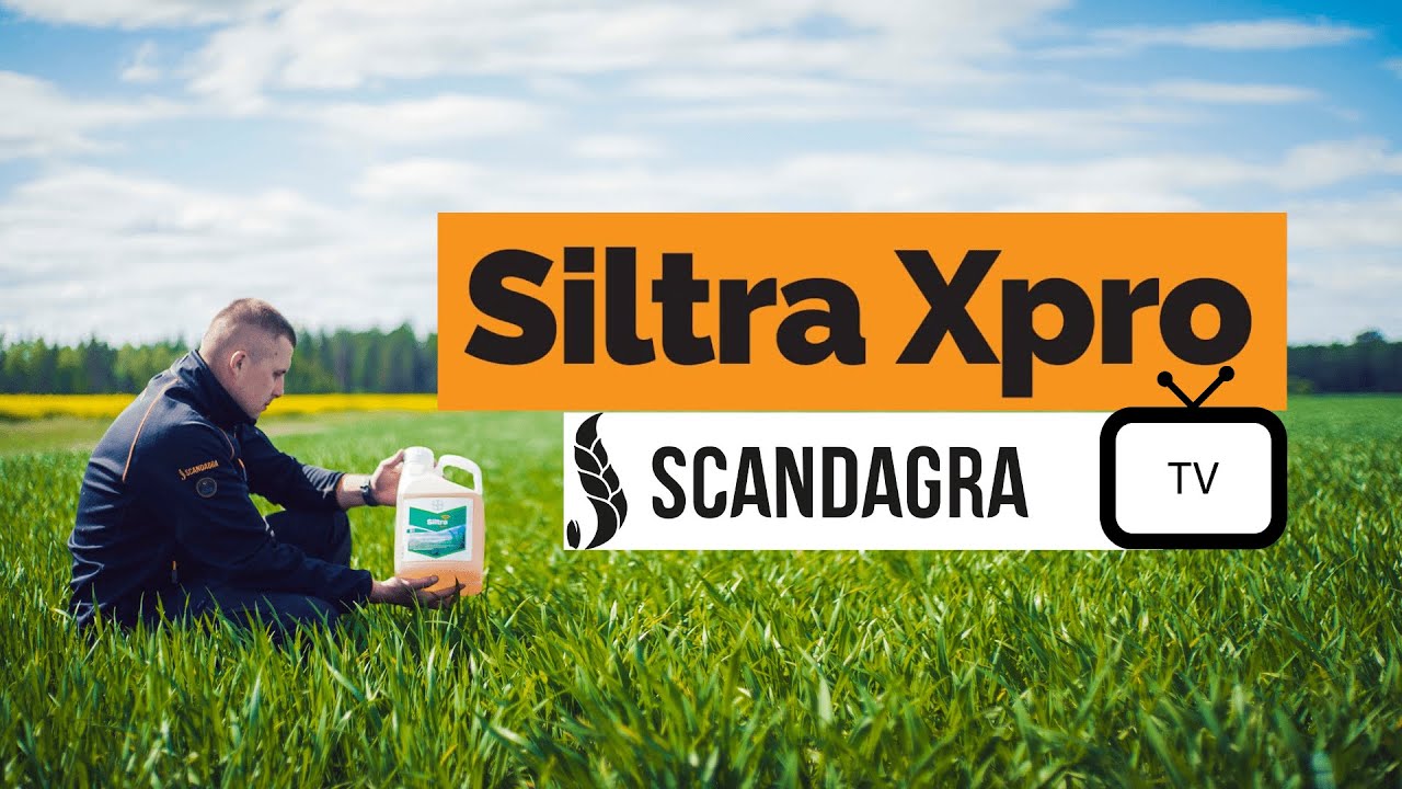 Siltra Xpro®- pika kaitsva ja raviva toimega süsteemne fungitsiid ...