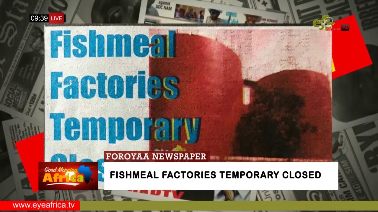 FISHMEAL FACTORIES TEMPORARY CLOSED: FOROYAA NEWSPAPER - YouTube