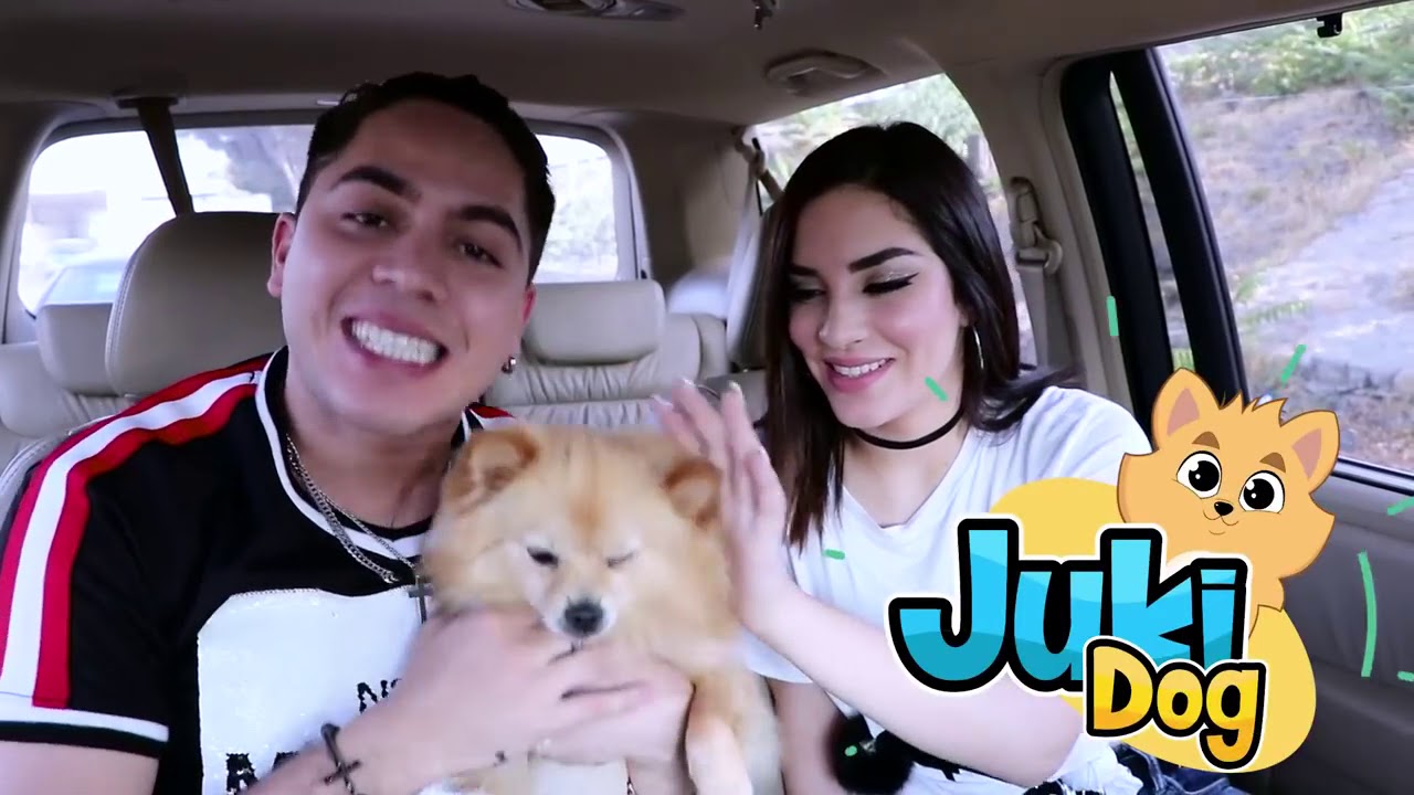 ESTA ES LA SERIE DE NUESTRO HIJO (JUKIDOG) JUKILOP - YouTube