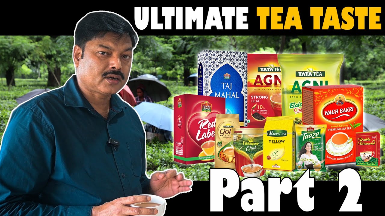 Part 2 The Ultimate Tea Taste Test: In-Depth Results and Expert ...