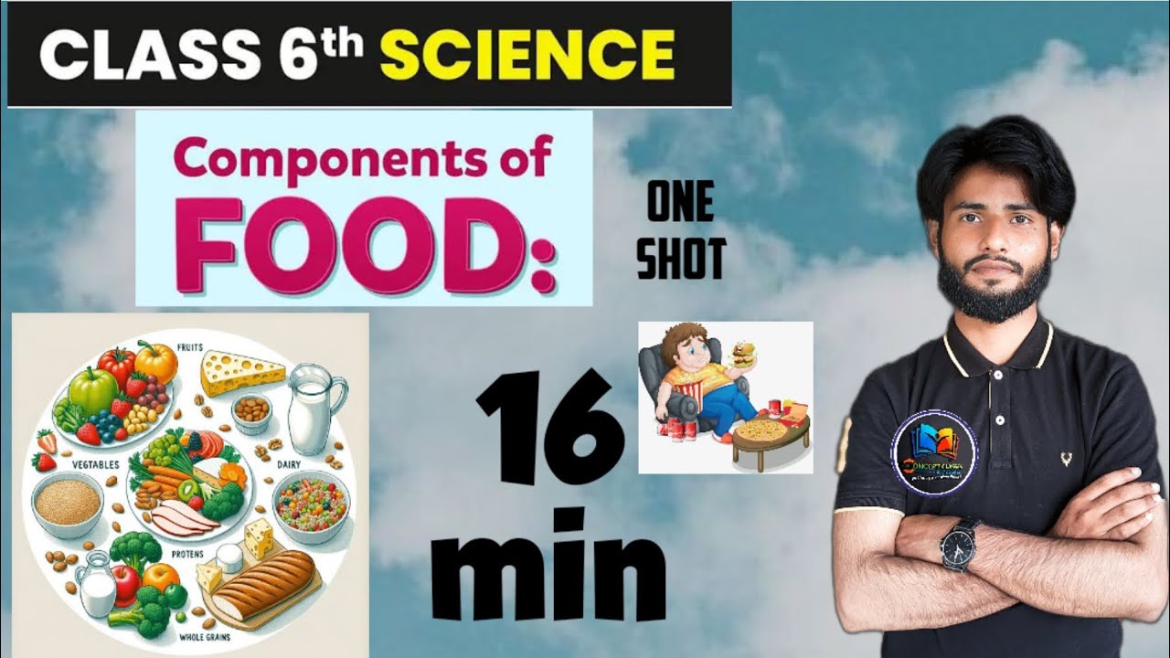 Components of Food | Full Chapter | Class 6 Science| - YouTube