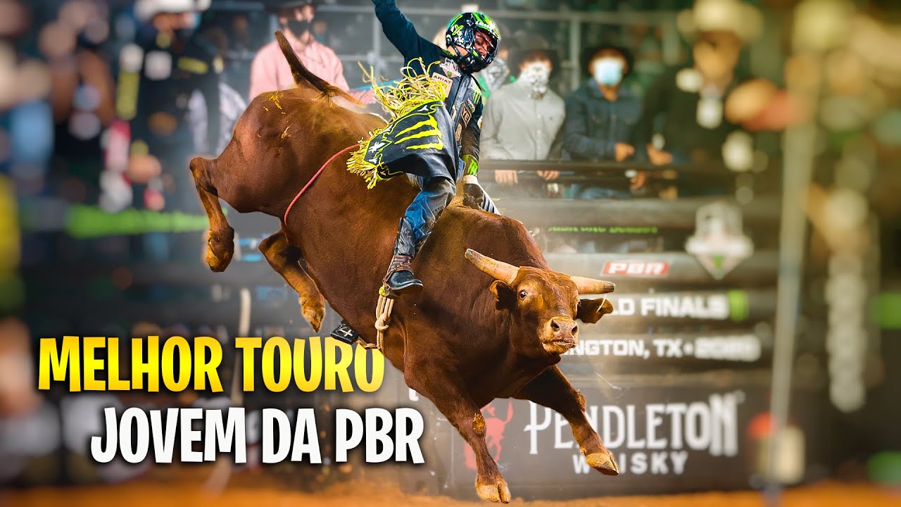 O touro WOOPAA conquistou $150 MIL DÓLARES na PBR - YouTube