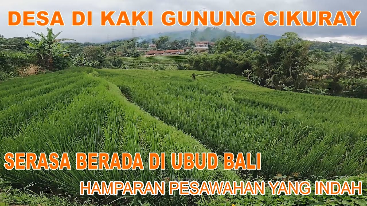 ORANG KOTA MANA TAU ADA LOKASI SEPERTI INI ⛔ SUASANA PEDESAAN DESA ...