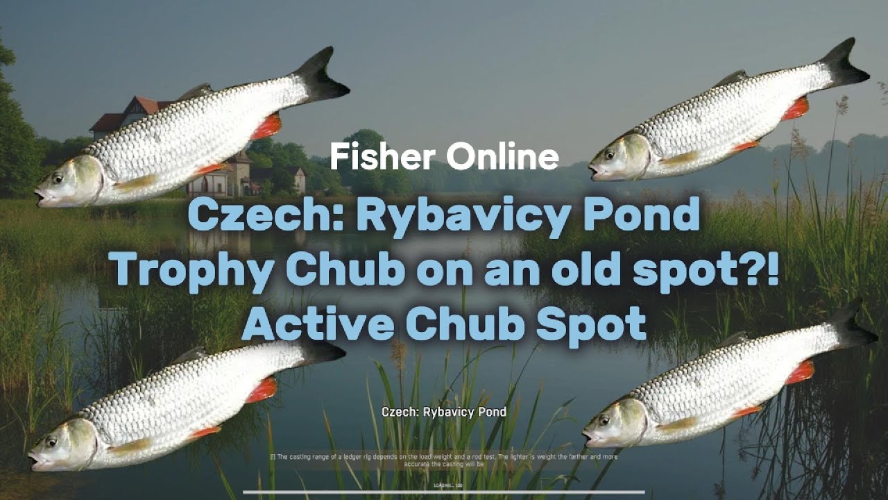 Trophy Chub Catch at an Old Spot?! | Chub Active spot | Czech: Ryvabicy ...