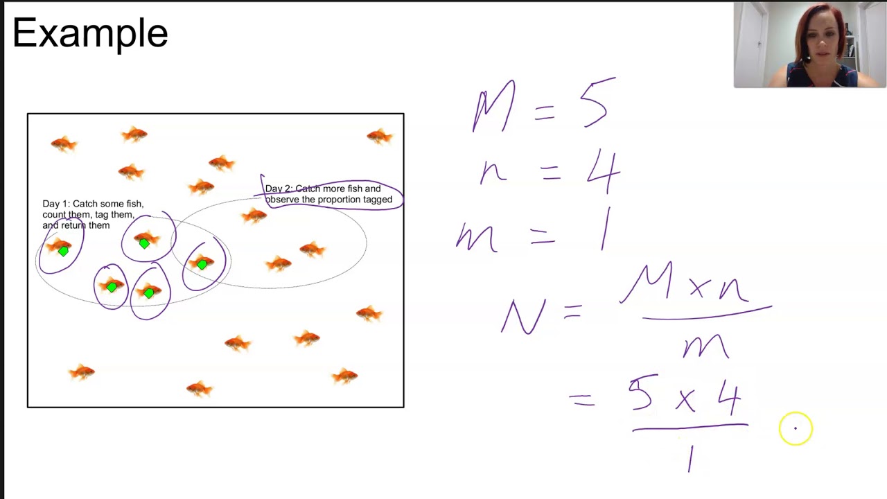 Population growth rate and change (Part 2) - YouTube