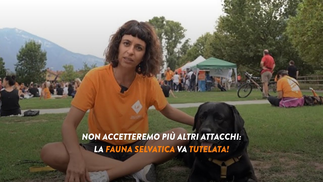 Manifestazione contro la caccia a Trento: la nostra intervista a Dunia ...