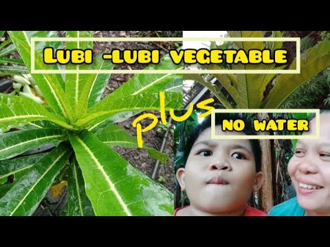Lubi-lubi vegetable / No water #LizandKidsrealityTV - YouTube