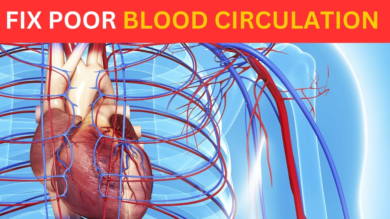 5 Ways of How to Know if You Have Poor Blood Circulation - YouTube