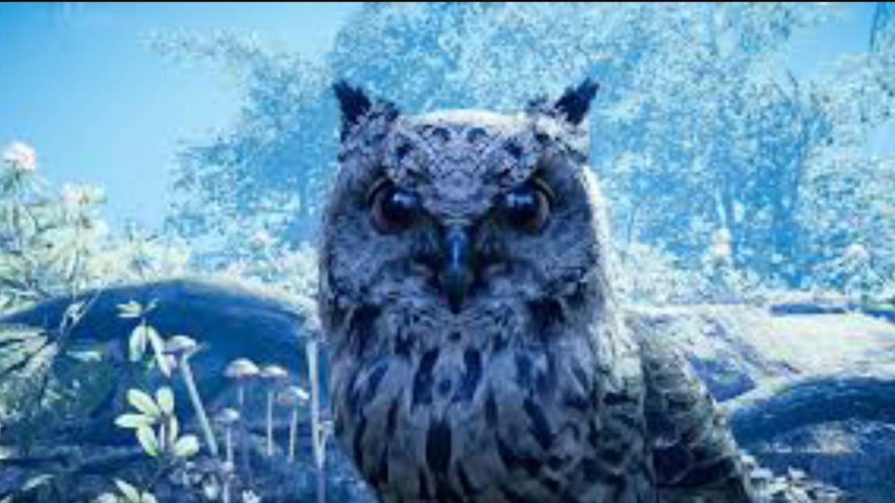 The Epic Owl |Far Cry Primal#3 - YouTube