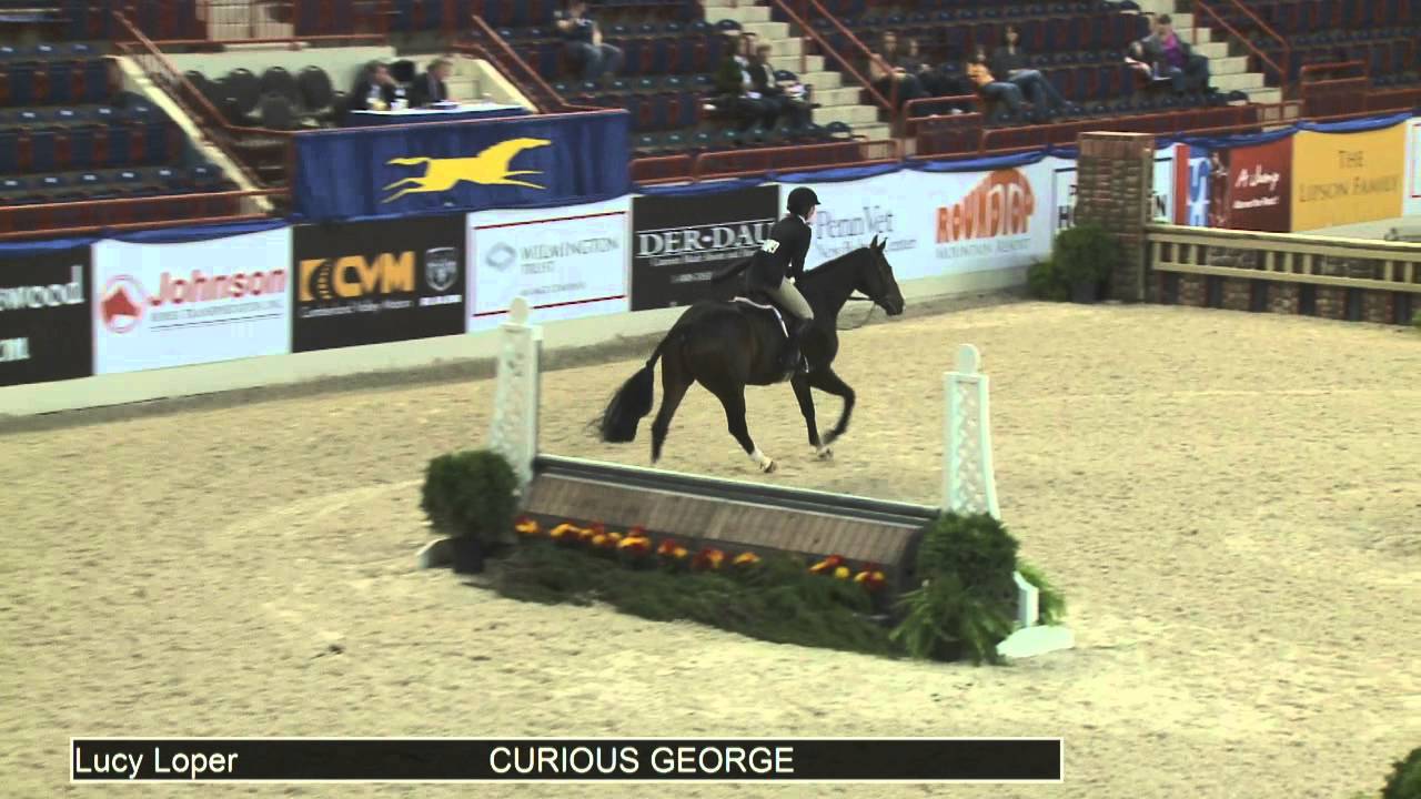 1024 CURIOUS GEORGE Lucy Loper, Class 230 NAL Children's Hunter Finals ...