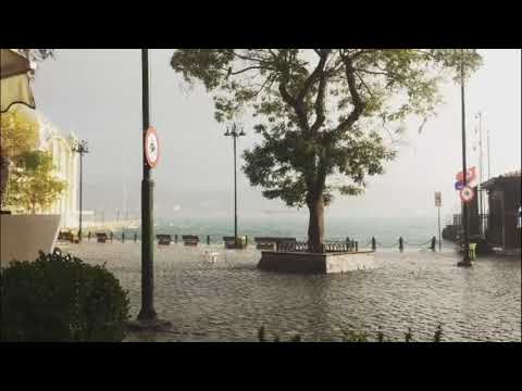 Eminonu Sahil | #short