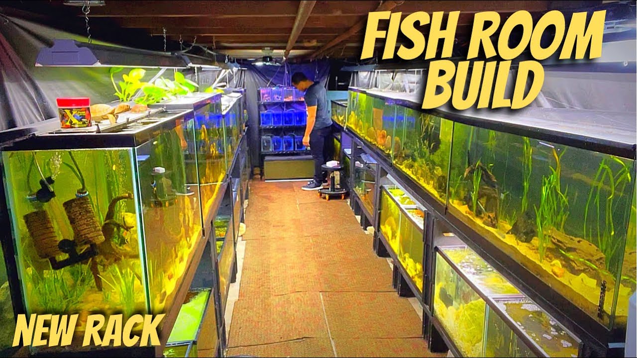 DIY FISH ROOM BUILD | PART #8 - YouTube