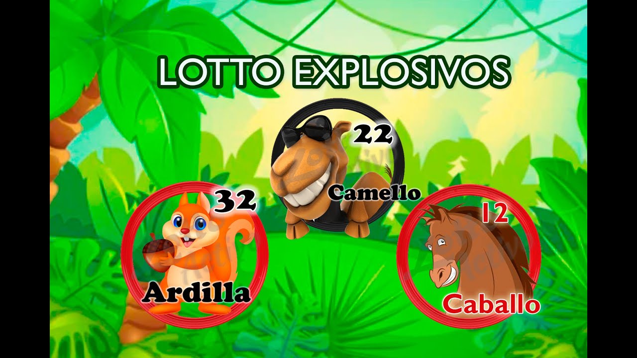 MARTES 26-12-2023 DATOS LOTTO ACTIVO, GRANJITA, GUACHARO, SELVA PLUS ...