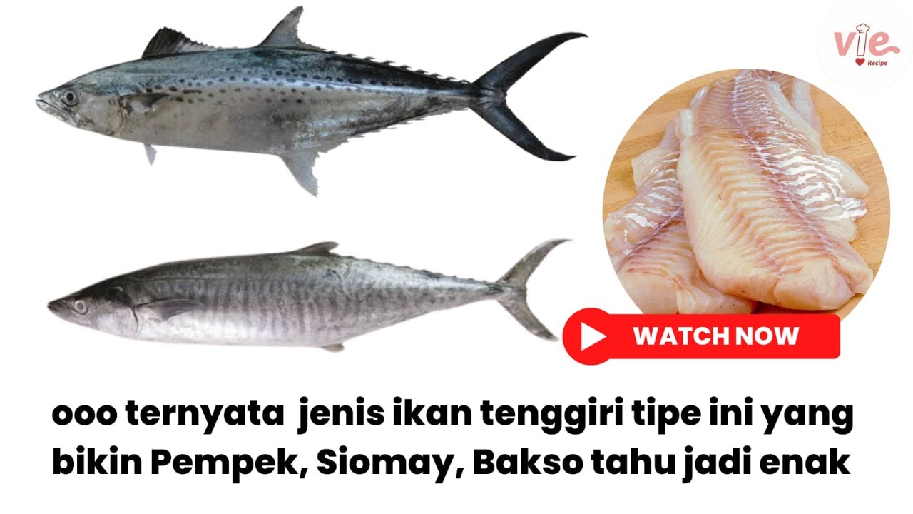 Jenis Tenggiri | TIPS Jangan Salah pilih Daging Tenggiri Agar Pempek ...