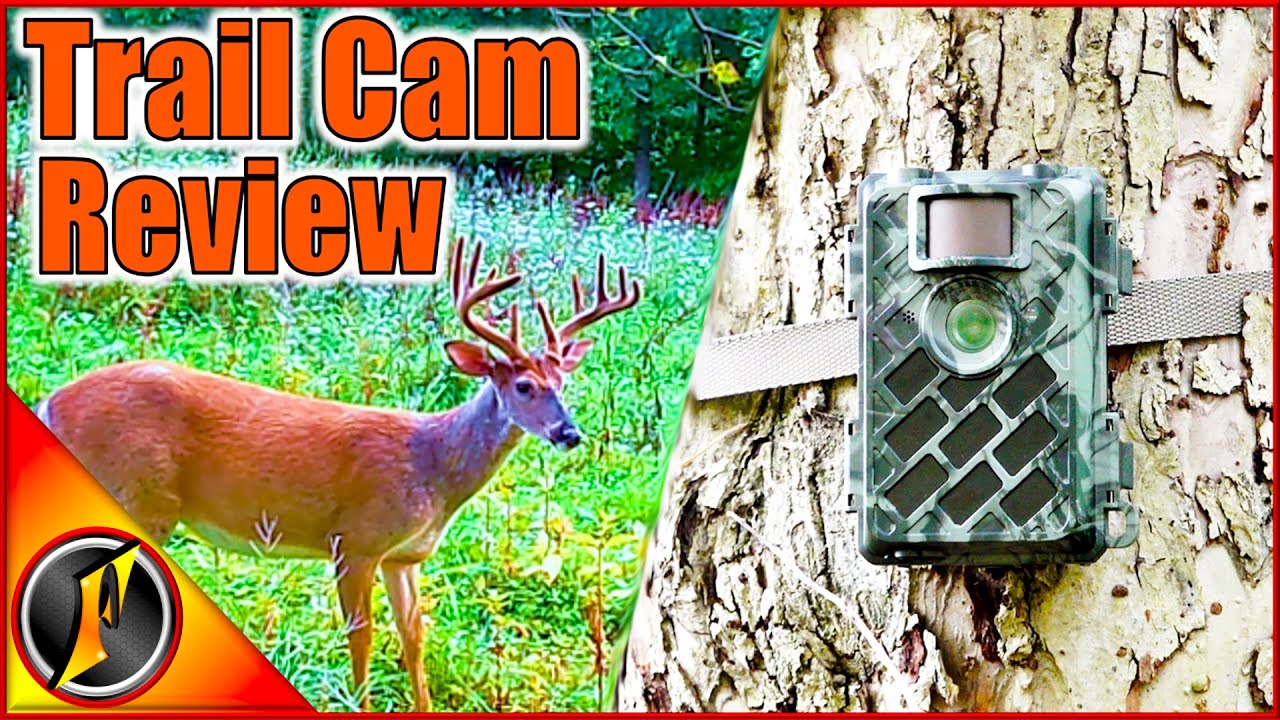 Testing & Reviewing the WingHome 630M Trail Camera! - YouTube
